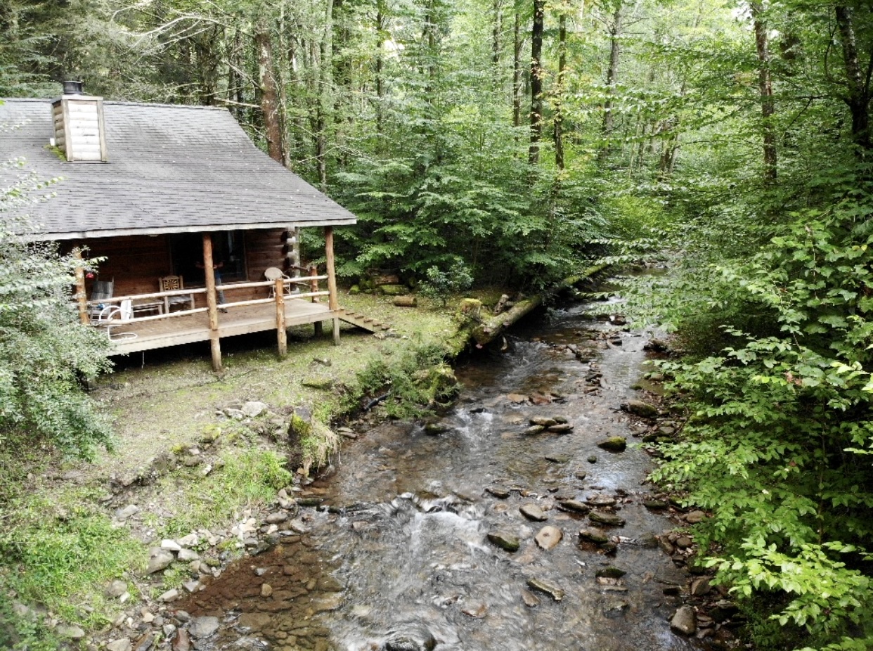 Availability - The Log Cabins on Neil's Creek